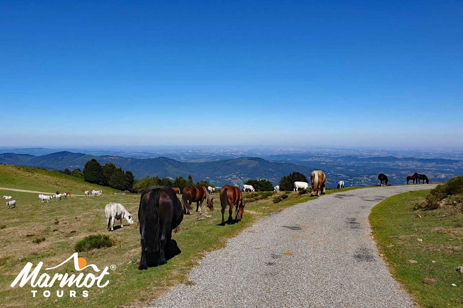 Pyrenean Foothills (Mediterranean France) - Marmot Tours